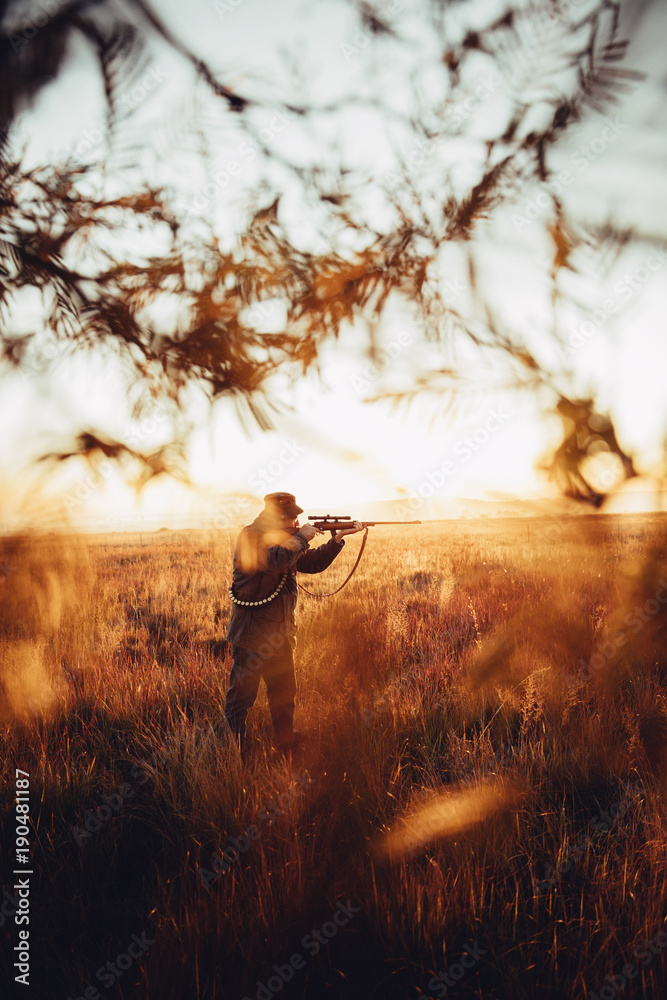 Foto de Hunter pointing with rifle on his prey in wilderness do Stock ...
