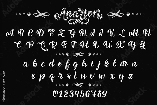 Hand drawn typeface. Brush painted letters. Handwritten script alphabet ...