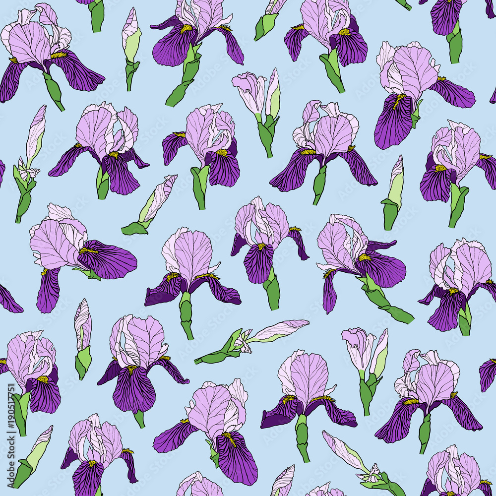 Vector graphic hand-drawn ink seamless pattern of purple iris flowers ...