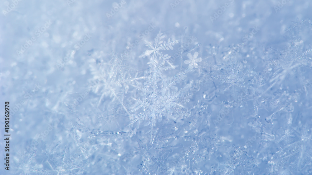 Snow background with detailed snowflakes. Macro photo of real snow ...