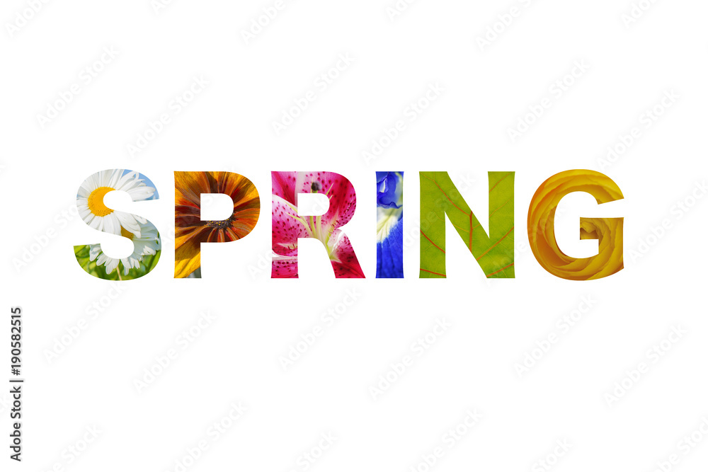 Logo lettering spring word - isolated over white Stock Photo | Adobe Stock