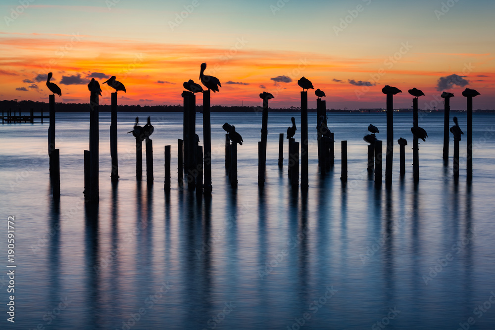 Pelican and Pier Piling Sunset Seascape Silhouettes Stock Photo | Adobe ...