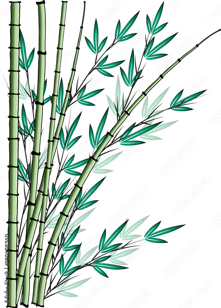 Bamboo Drawing