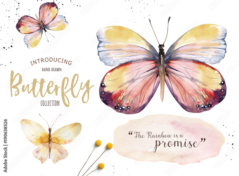 Set of watercolor boho butterfly. Vintage summer isolated spring art ...