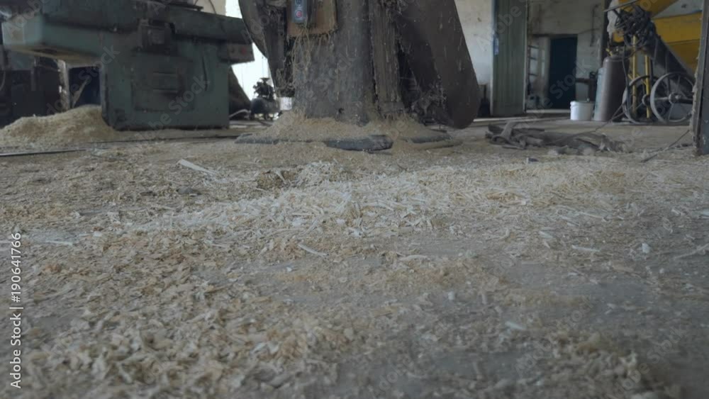 Wooden sawdust on the sawmill. Sawdust strewed on the ground at the ...