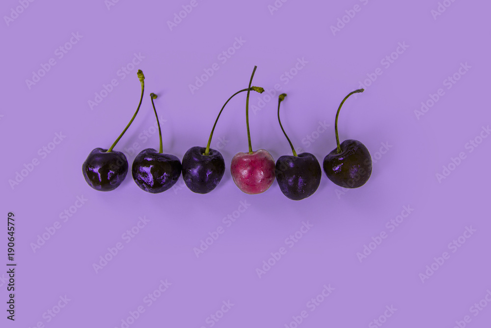 Ripe juicy cherries in a row, one berry of another color, red / violet ...