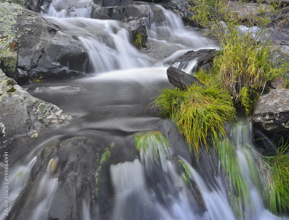 Detalle río en primavera con sus brotes verdes y el agua cristalina ...