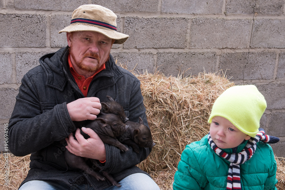 The farmer and his son keep the newborn pigs in their hands. Creative ...