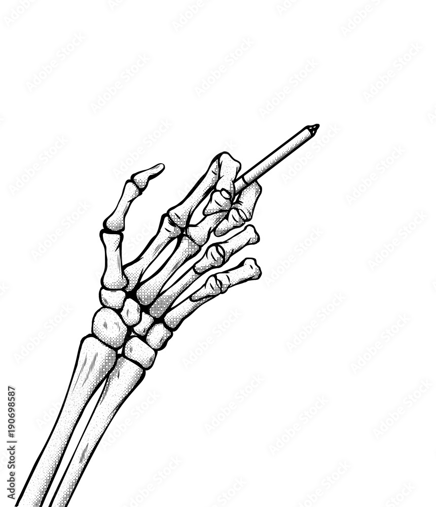 The hand of the skeleton holds a cigarette vector handdrawn lineart ...