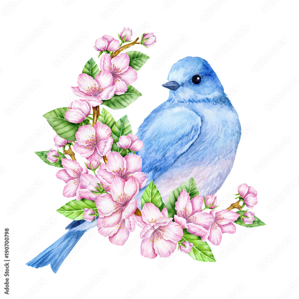 Cute little blue bird in bloom. Watercolor illustration. Cute animals ...