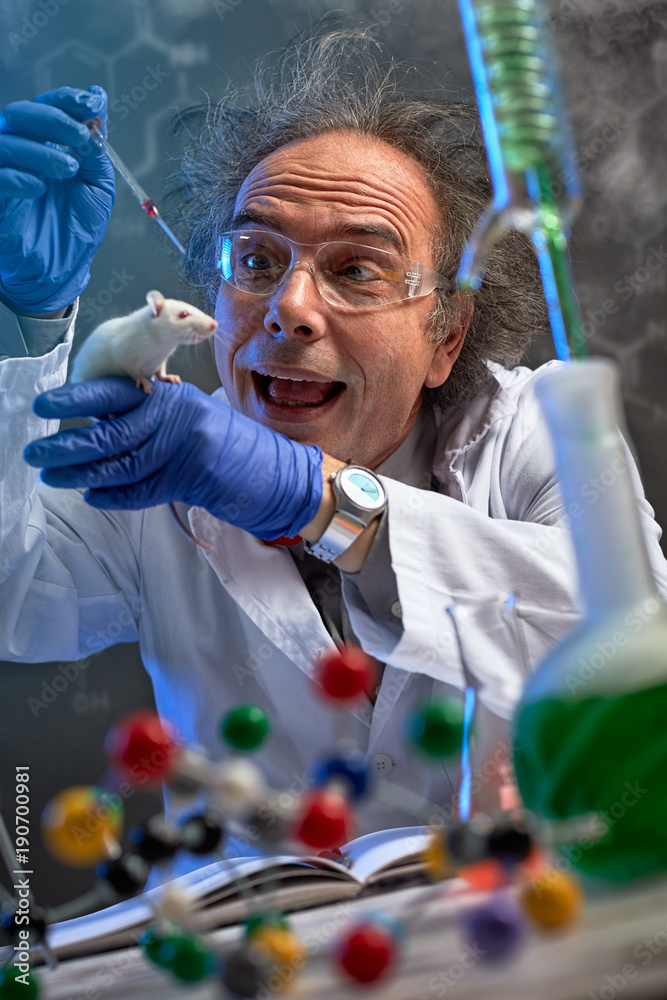 Mad scientist doing experiment on laboratory mouse Stock Photo | Adobe ...