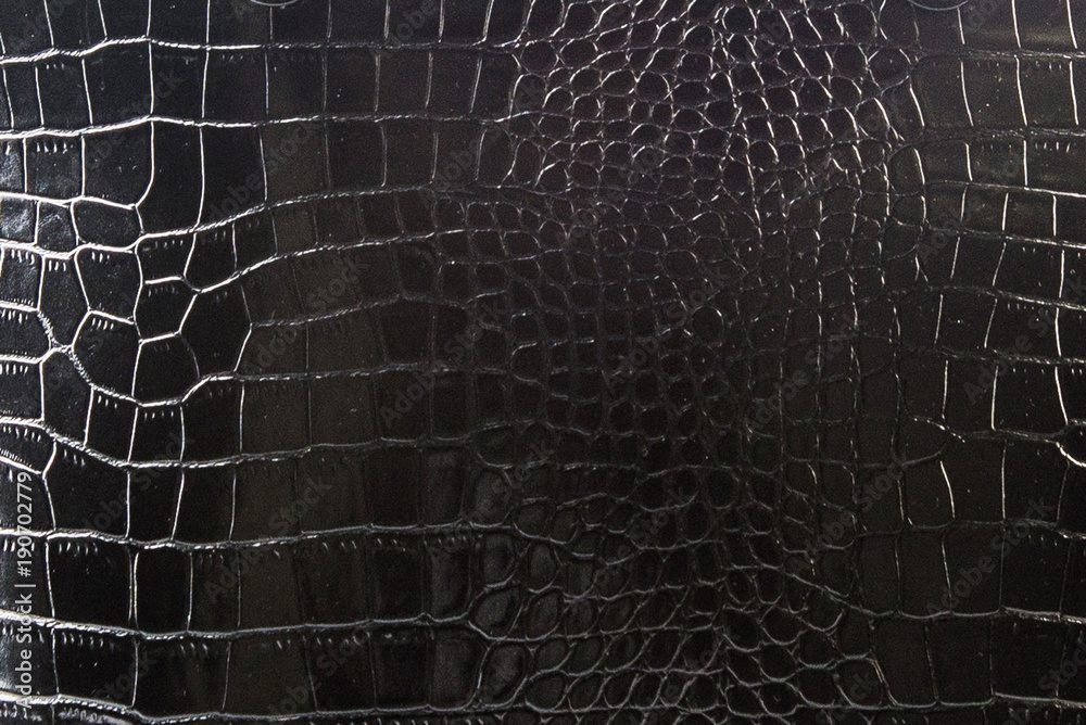 Black Patent Leather Texture