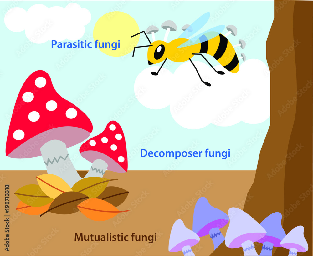 Mutualism Clipart