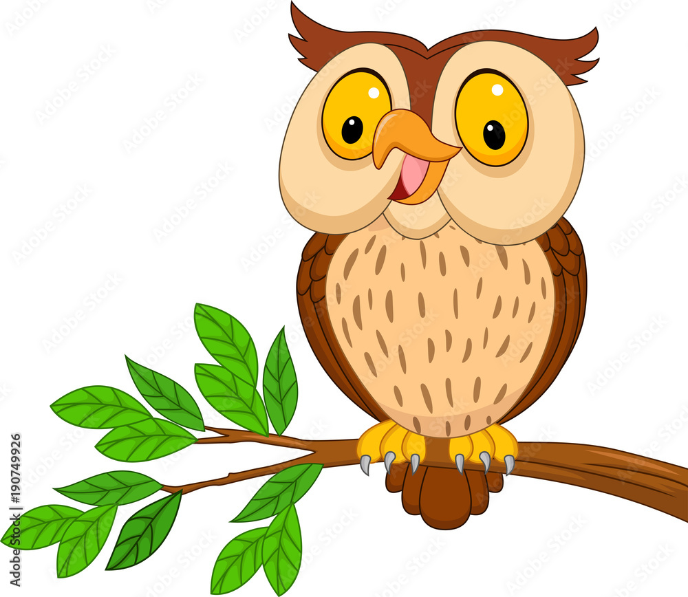 Cartoon owl isolated on white background Stock Vector | Adobe Stock