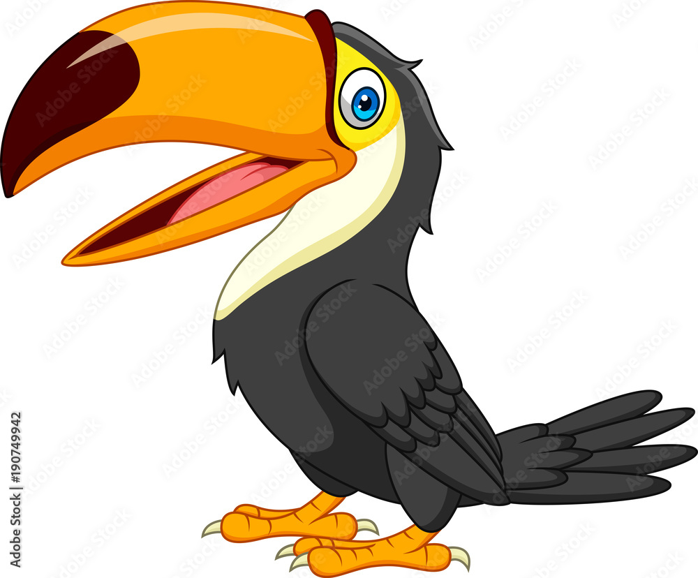 Cartoon toucan isolated on white background Stock Vector | Adobe Stock
