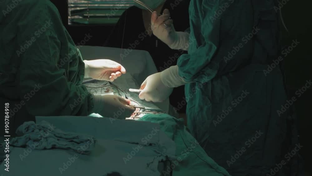 Surgeons hands in protective gloves using tweezers and scissors sewing ...