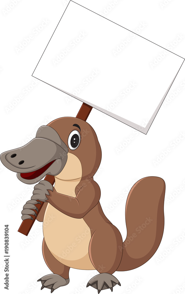Cartoon platypus holding blank sign Stock Vector | Adobe Stock