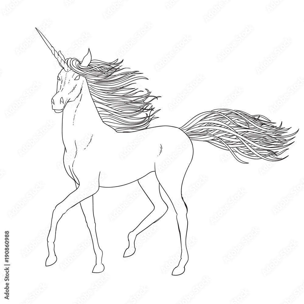 unicorn black and white sketch cartoon doodle vector illustration Stock ...