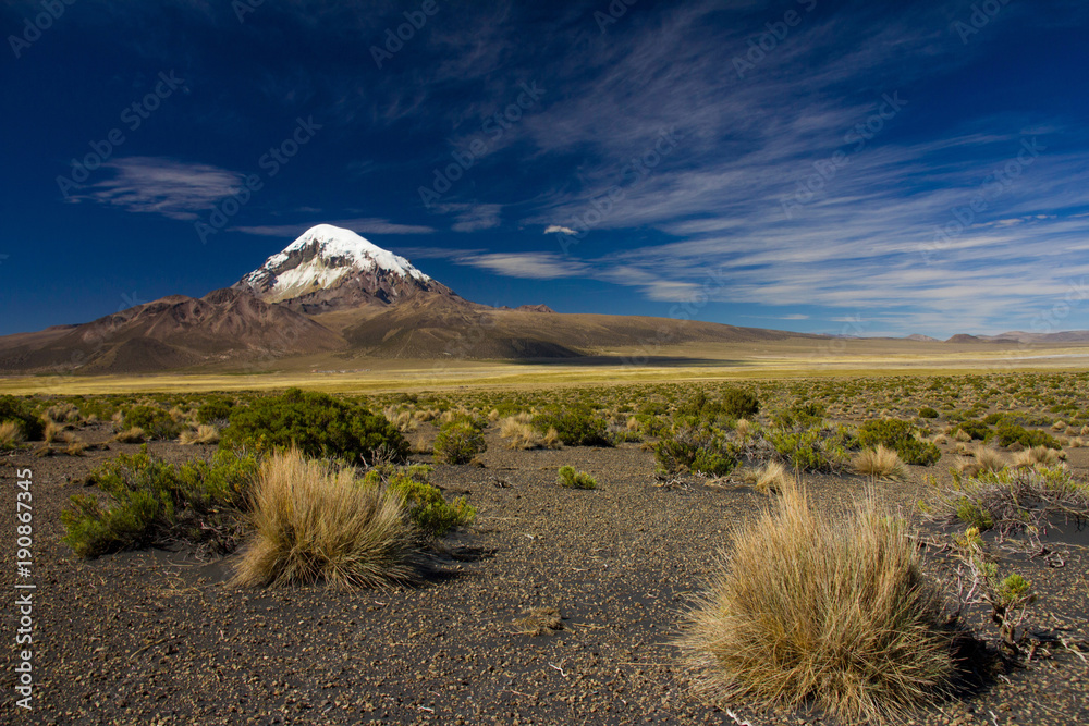 Nevado Sajama volcano - Bolivia. Stock Photo | Adobe Stock