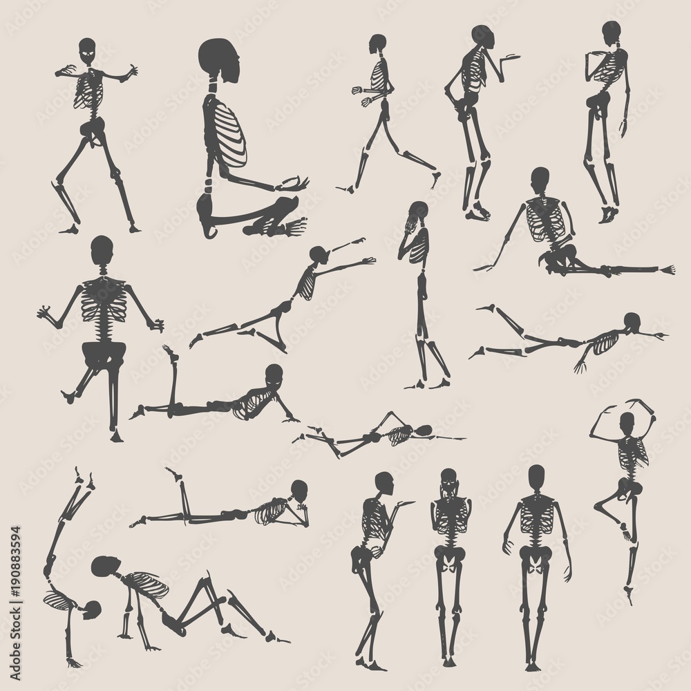 Human skeleton collection. Halloween party design. Silhouettes in ...