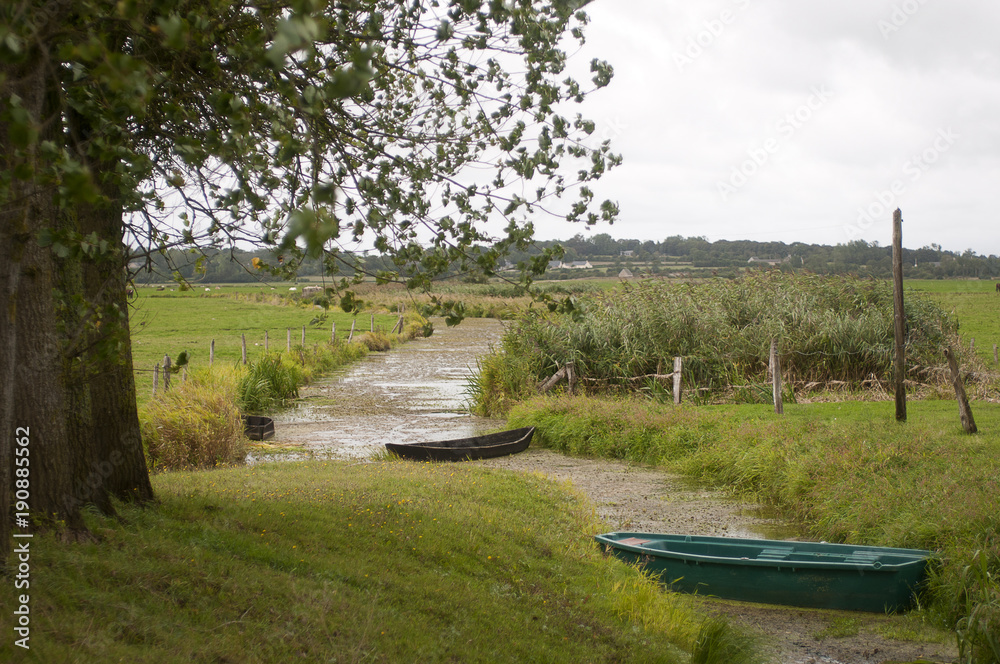 paysage de marais Stock Photo | Adobe Stock