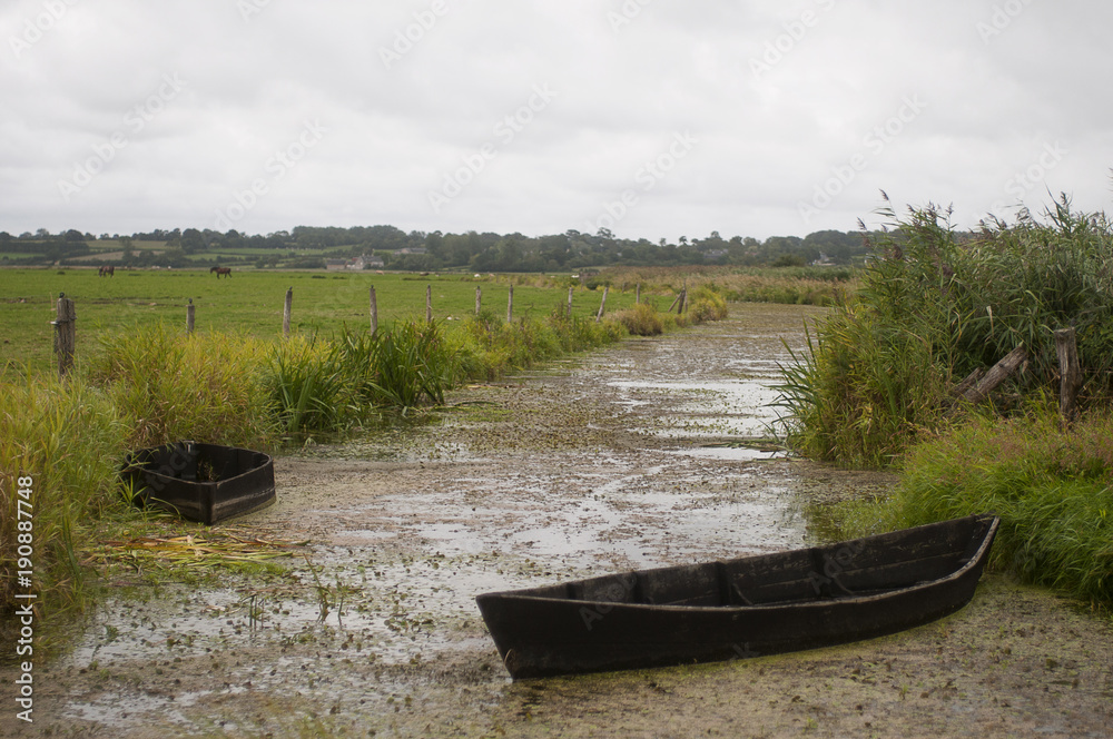 paysage de marais Stock Photo | Adobe Stock