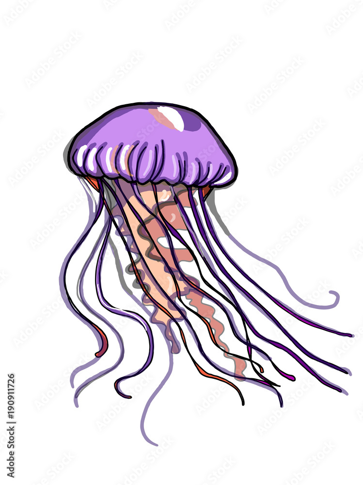 cartoon jellyfish sketch drawing Stock Illustration | Adobe Stock