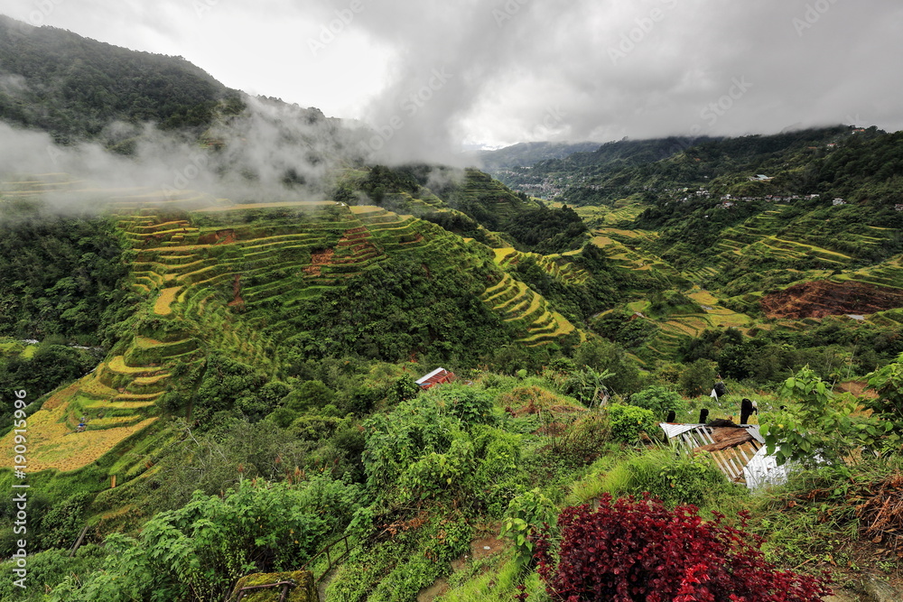 Banaue village-rice terraces seen from the main viewpoint. Ifugao ...