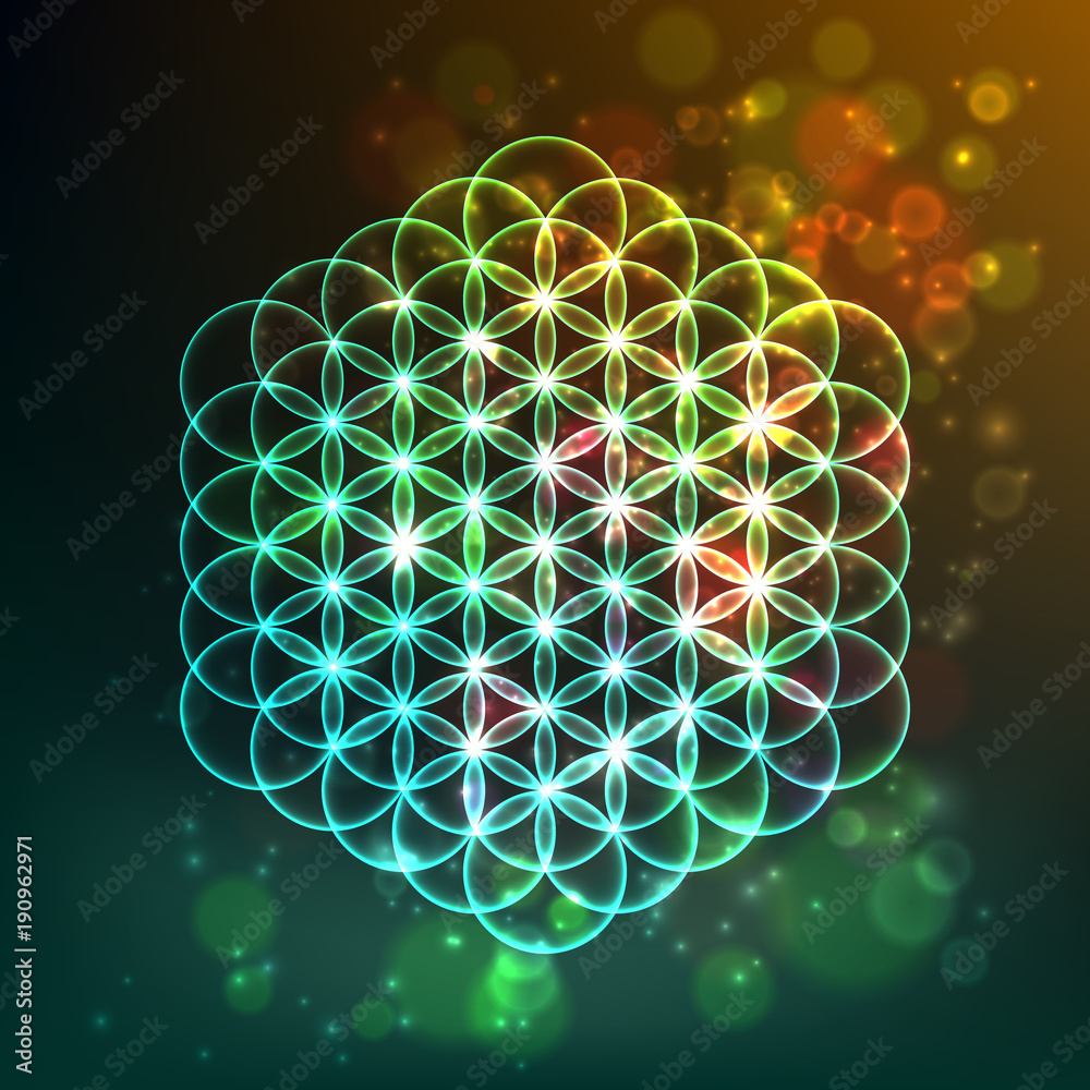 Flower of Life. Sacred Geometry. Symbol of Harmony and Balance. Vector ...
