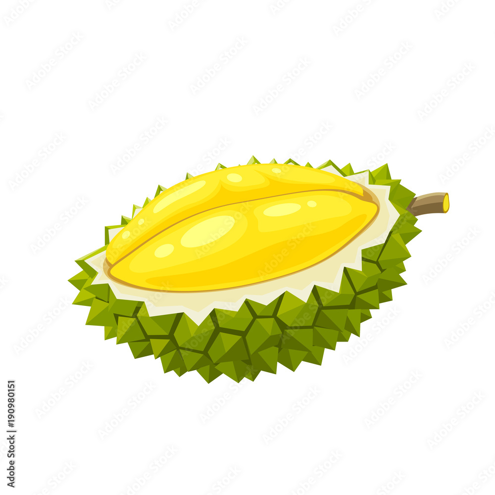 Summer tropical fruits for healthy lifestyle. Durian, half of fruit ...