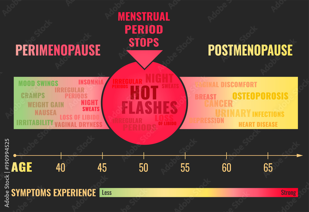 Stages of Menopause Infographic Stock Vector | Adobe Stock