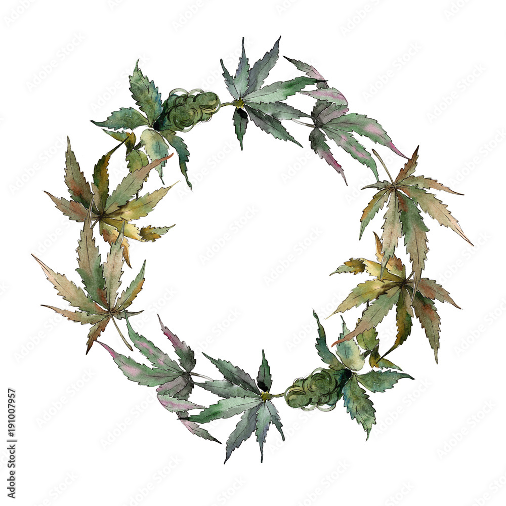 Cannabis leaves wreath in a watercolor style. Aquarelle wild flower for ...