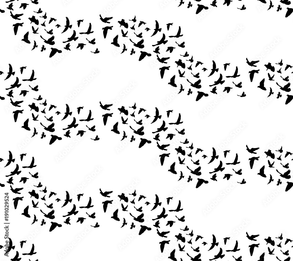Flying Bird Silhouette Pattern