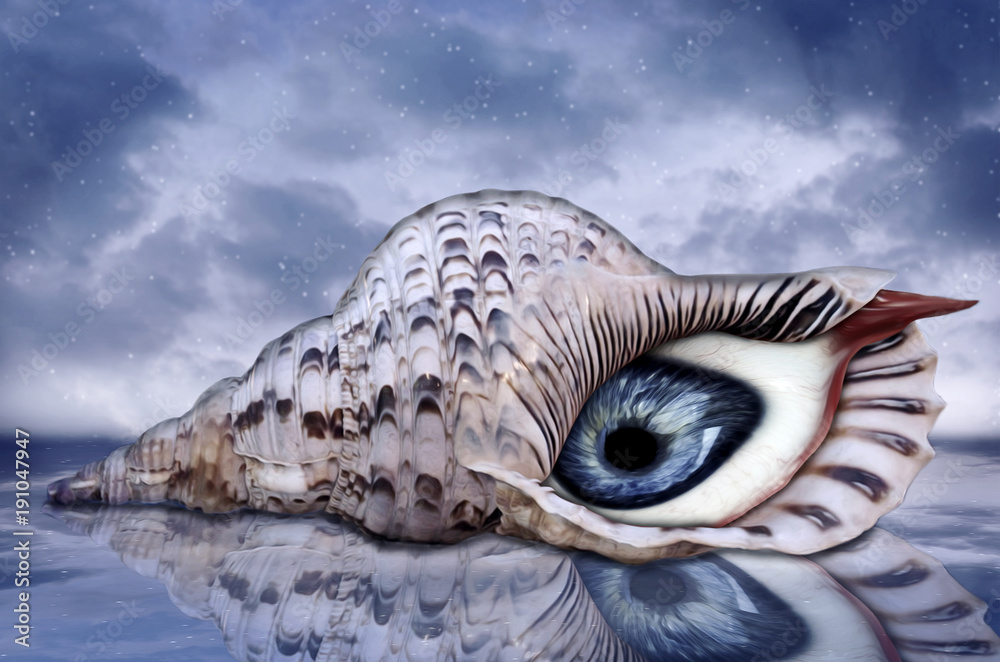Shell with eye. Surreal concept Stock Illustration | Adobe Stock