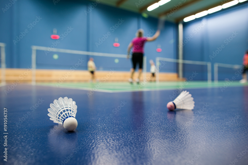 badminton - badminton courts with players competing; shuttlecocks in ...