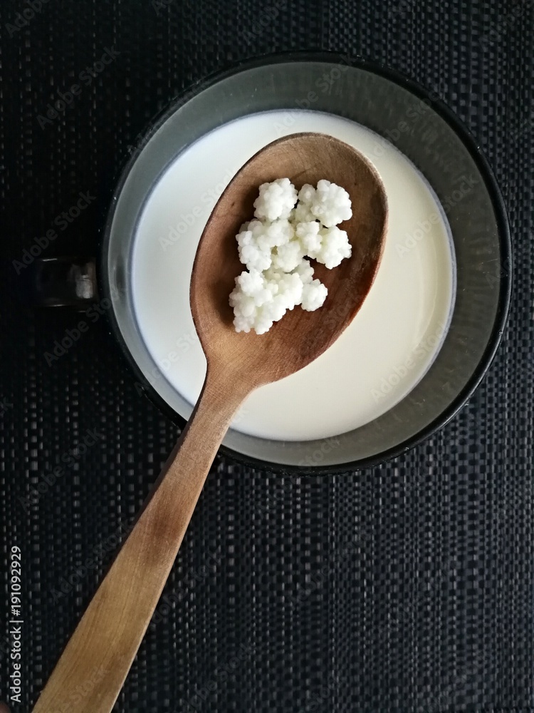 Tibetan milk mushroom .Milk kefir seeds. Stock Photo | Adobe Stock