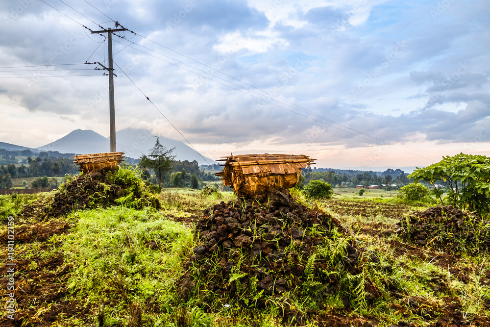 Virunga volcano national park landscape with beehives and farmland ...