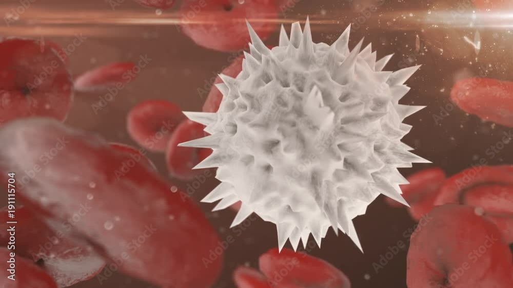 White blood cell and red blood cell microscope 3d render Stock 비디오 ...