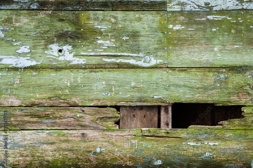 Photo & Art Print Wood Wall Texture with Algae, Brad
