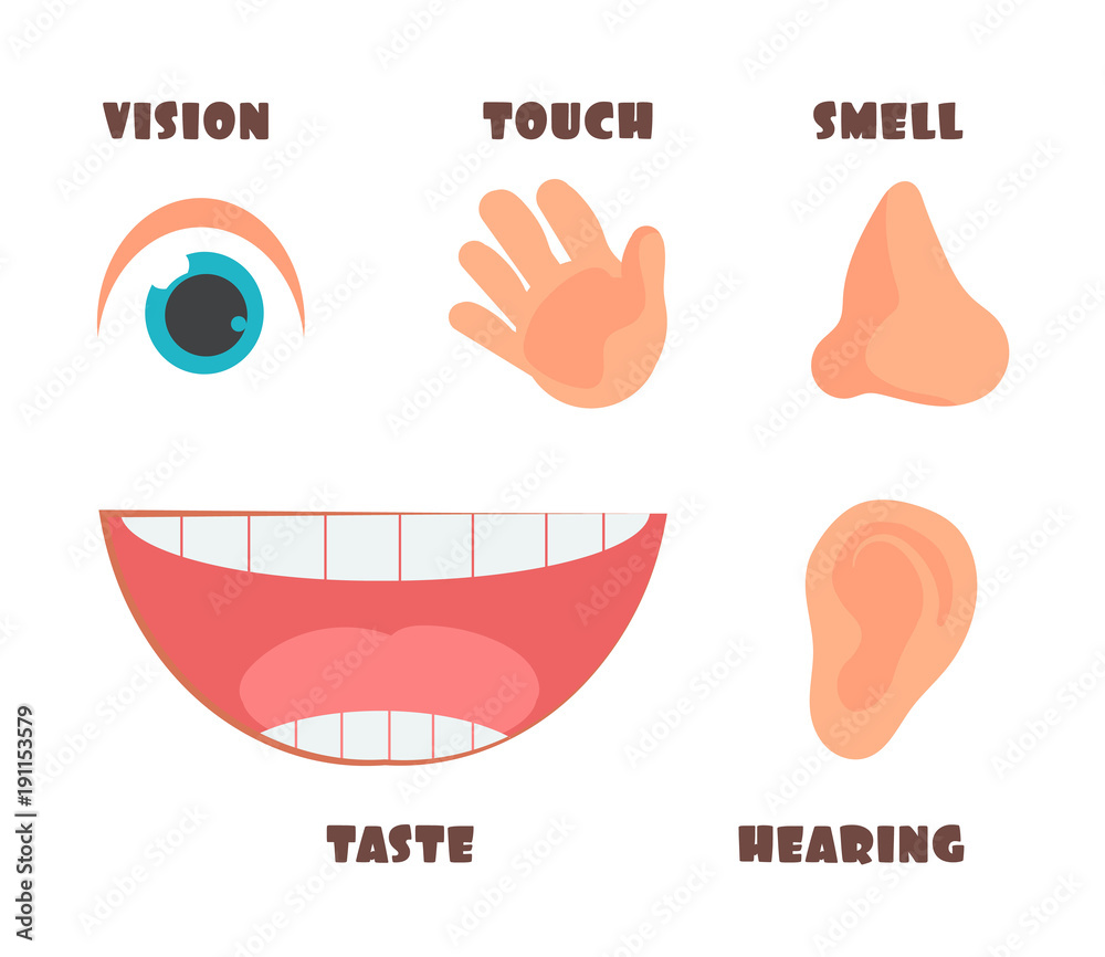 Human senses cartoon vector icons with eye, nose, ear, hand, and mouth ...