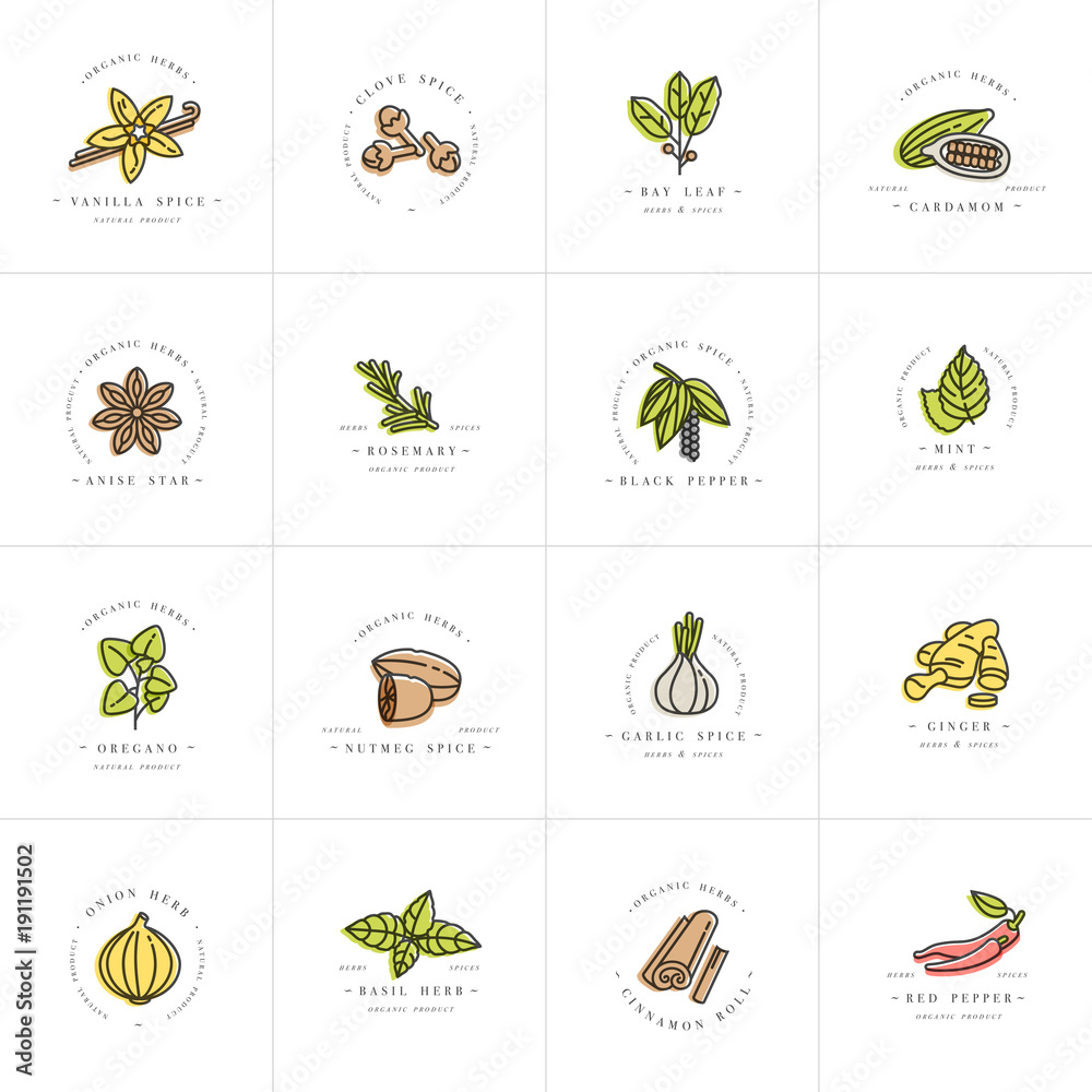 Vector set design colorful templates logo and emblems - herbs and ...