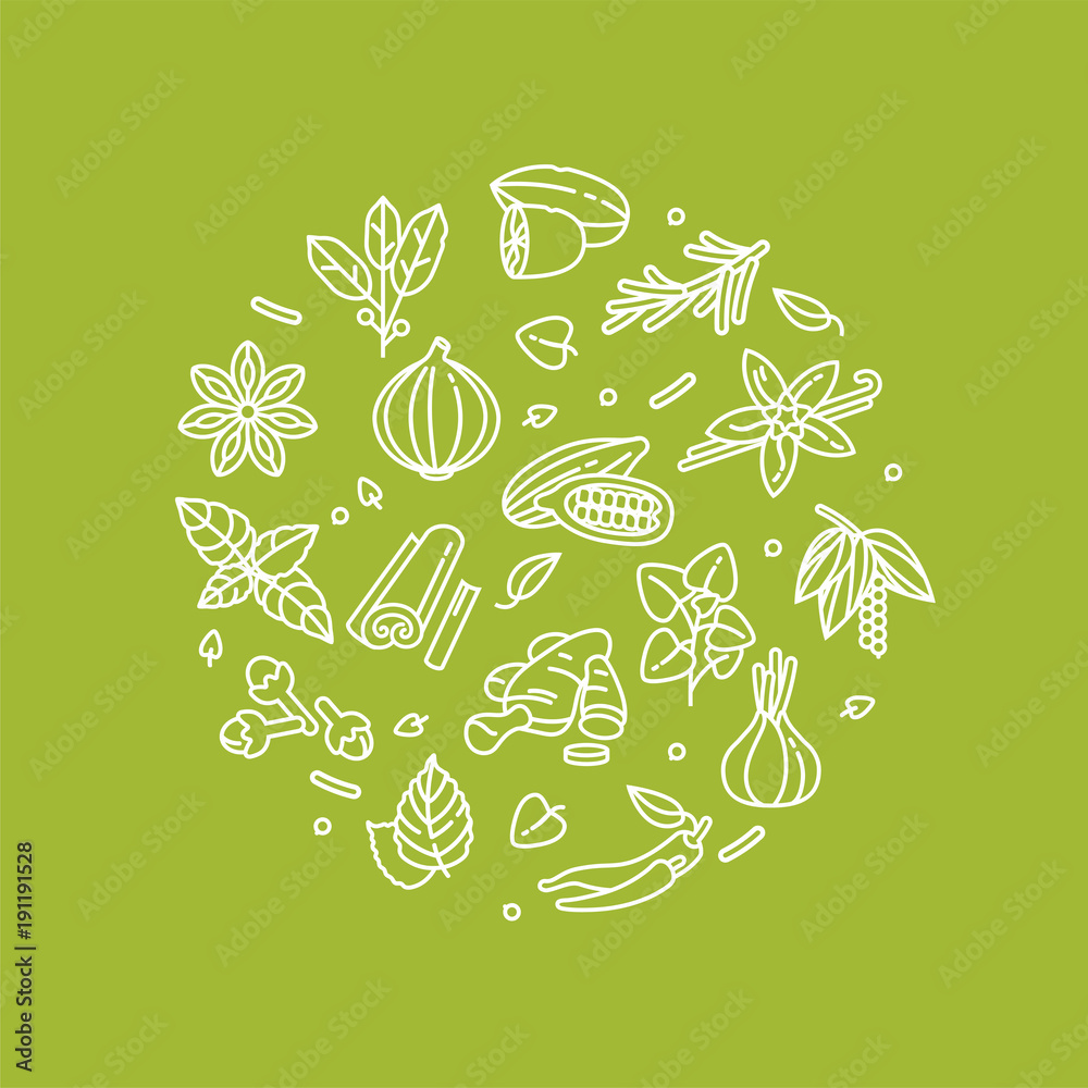 Vector set design templates icon and emblems - herbs and spices ...