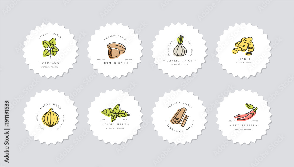 Vector set design colorful templates logo and emblems - herbs and ...