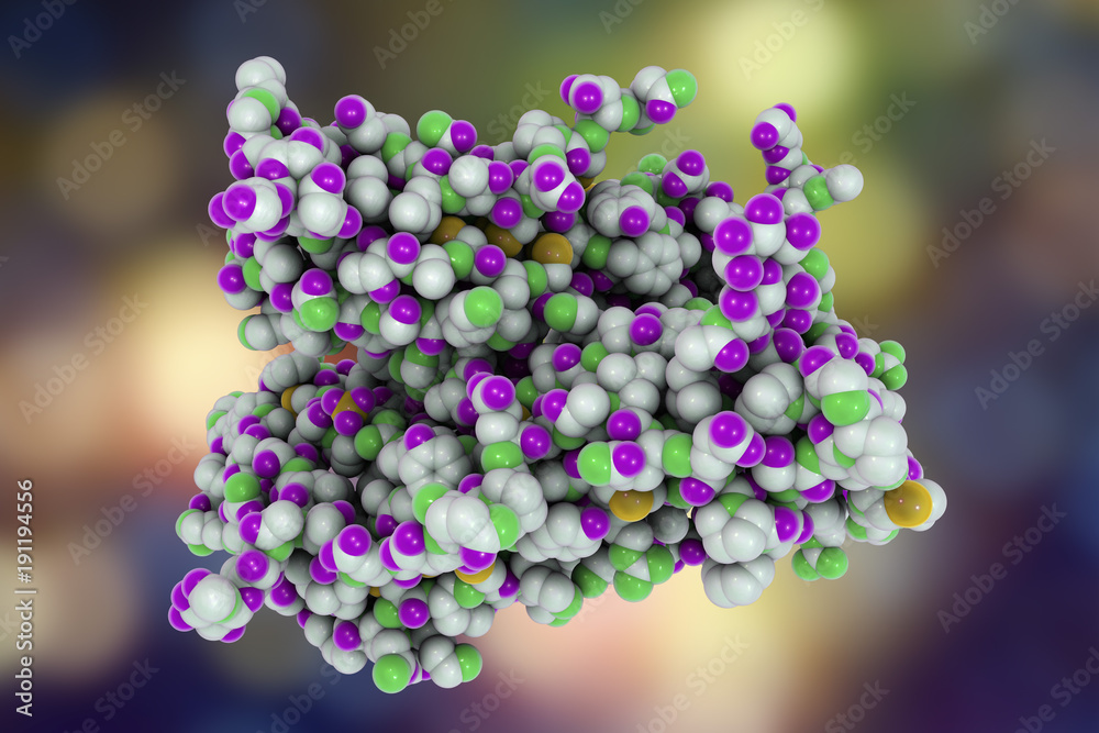 Follicle stimulating hormone, molecular model, 3D illustration. A ...