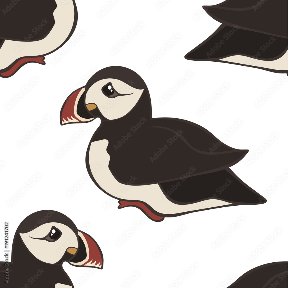 Vector seamless pattern with hand drawn atlantic puffins isolated on ...