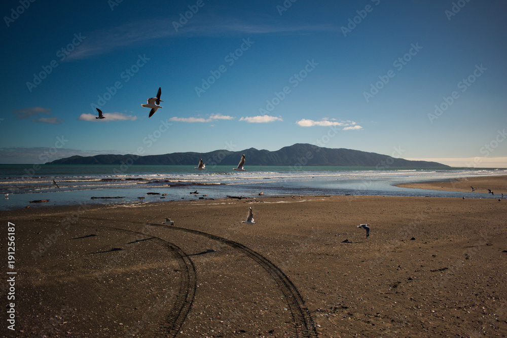 Kāpiti Island from Raumati Beach, New Zealand Stock Photo | Adobe Stock