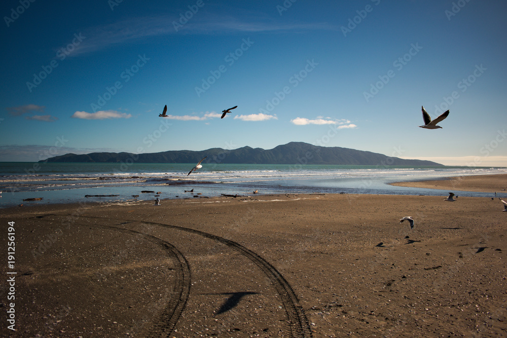 Kāpiti Island from Raumati Beach, New Zealand Stock Photo | Adobe Stock