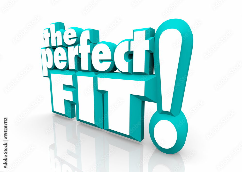 The Perfect Fit Words Ideal Candidate Great Choice 3d Illustration ...