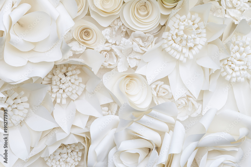 Ivory Flower Background