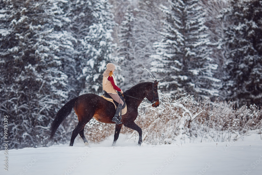 Horse. Girl rider rides brown horse through winter forest in snow ...